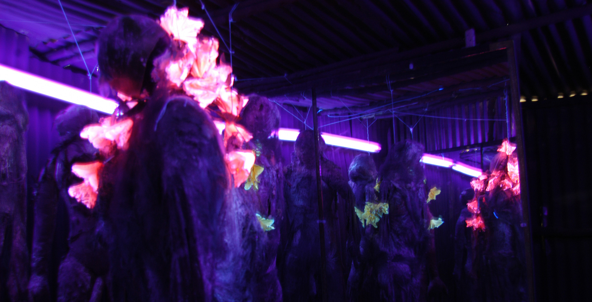 Mario-benjamin-accueil - Mario Benjamin